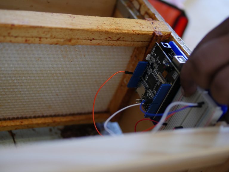 HiveSense: The Beehive IoT Project | Random Hacks of Kindness